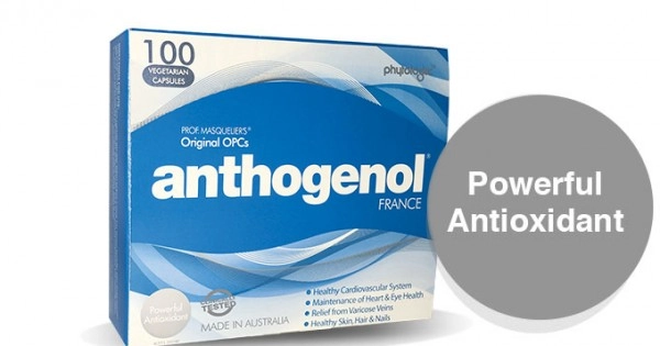 Anthogenol月光宝盒 抗氧化 花青素葡萄籽精华100粒